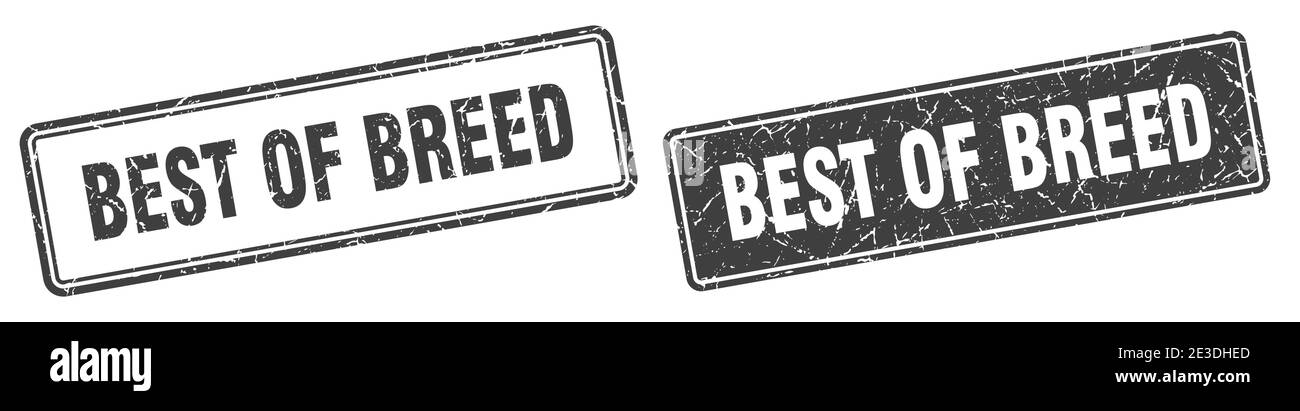 best of breed square stamp. best of breed grunge sign set Stock Vector ...