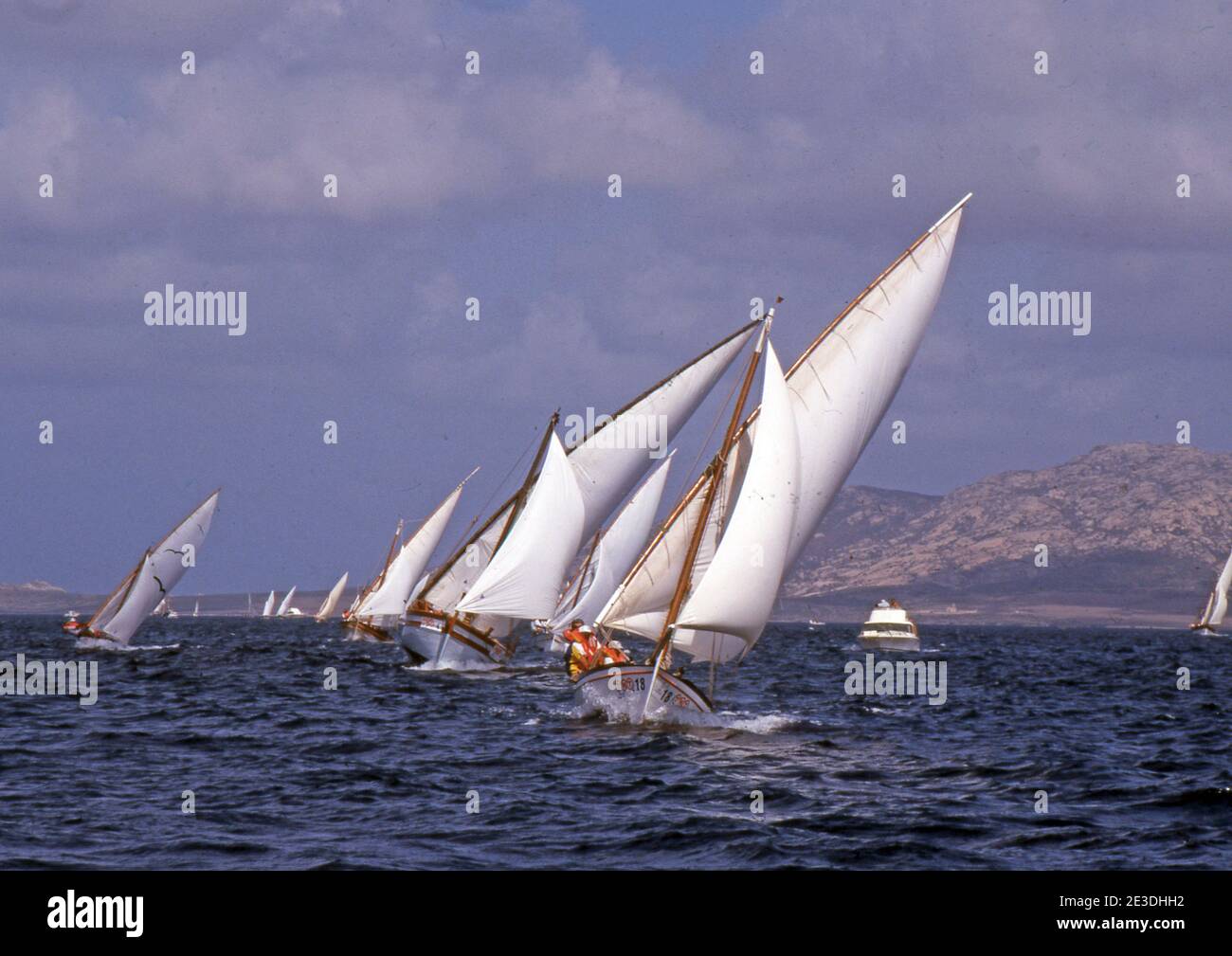 Stintino, Sardinia, Italy. Lateen sail regatta 2003 (scanned from ...