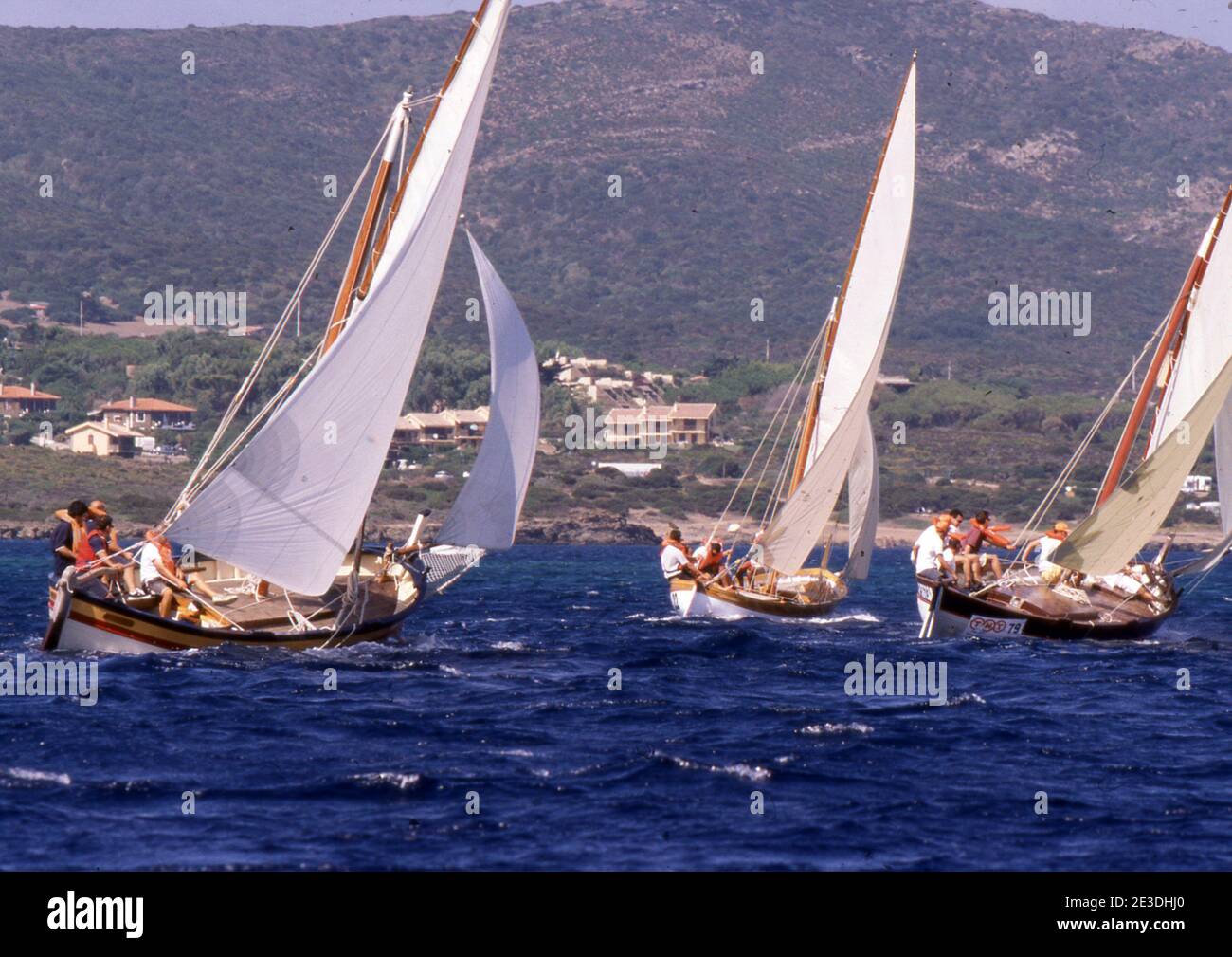 Stintino, Sardinia, Italy. Lateen sail regatta 2003 (scanned from ...