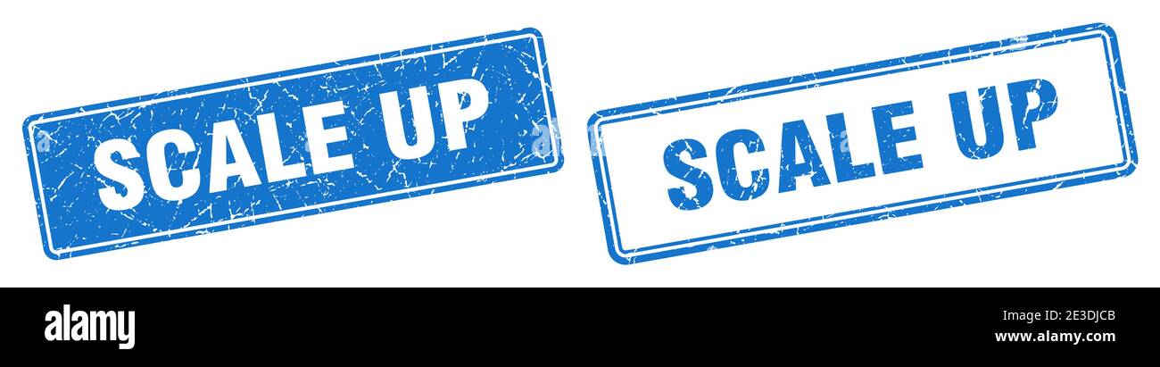scale up square stamp. scale up grunge sign set Stock Vector Image ...