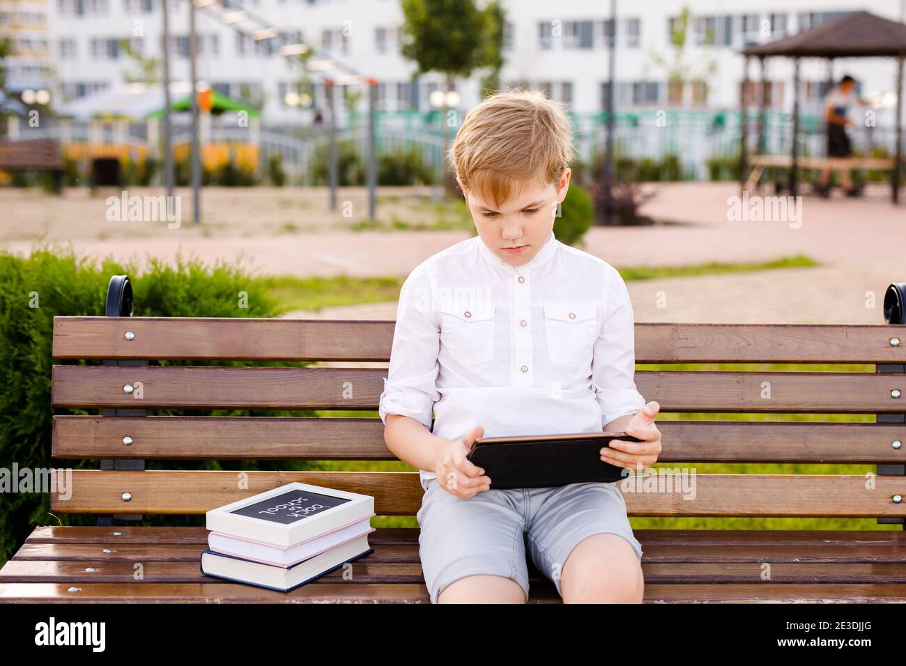 Little school boy studying outdoors school yard on warm sunny day ...