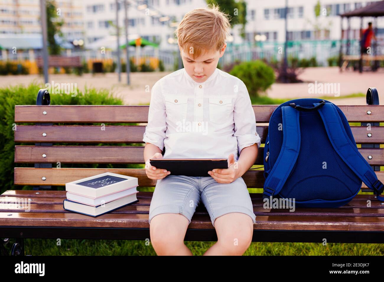 Little school boy studying outdoors school yard on warm sunny day ...