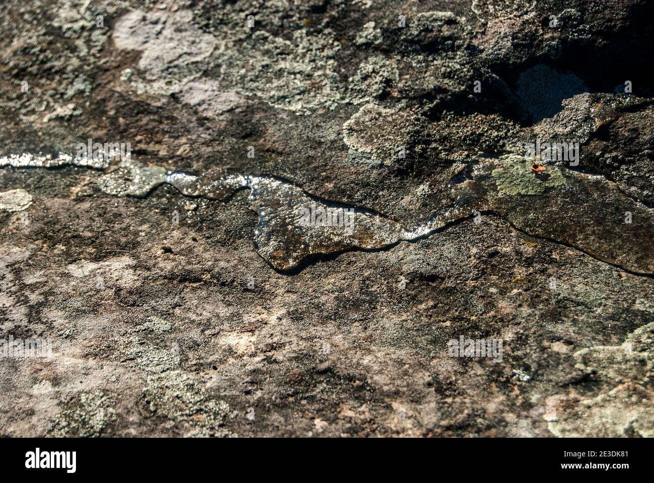Trickle of clear water closeup on rocky surface Stock Photo - Alamy