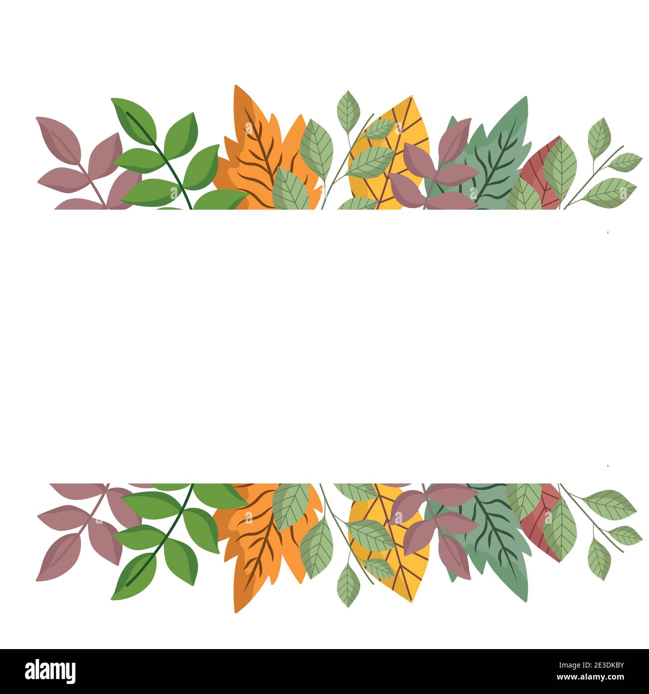 leaves foliage nature vegetation, banner design vector illustration ...