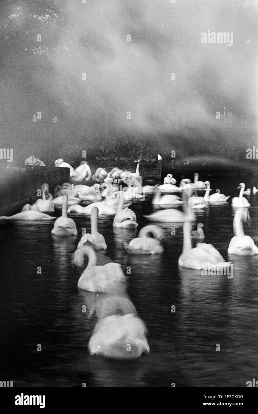 Lake photo free Black and White Stock Photos & Images - Alamy