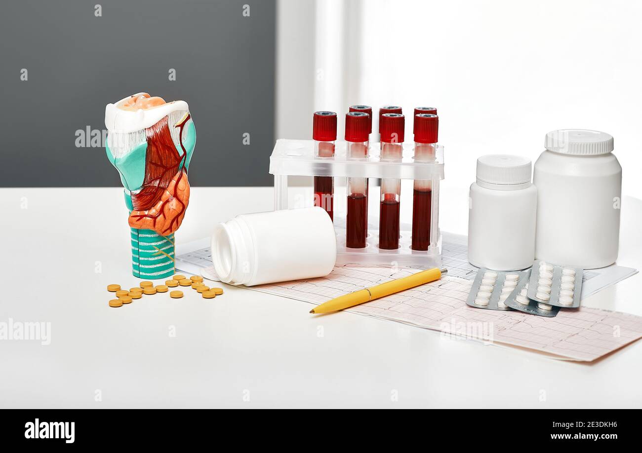 Thyroid disease diagnostic. Anatomical model of the thyroid gland ...