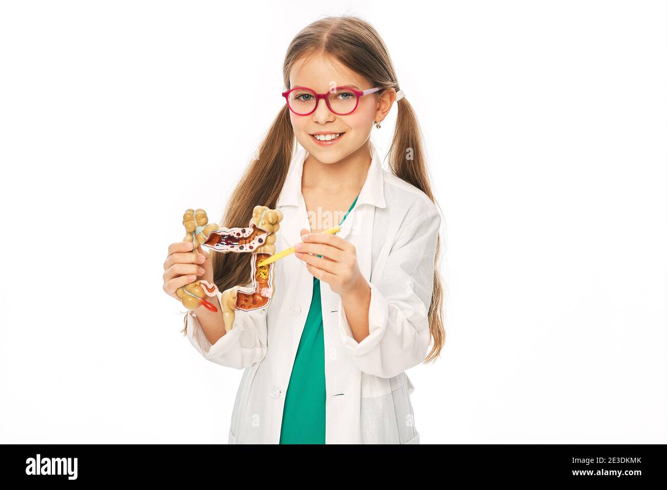 Cute child during learning human anatomy, holds an anatomical ...