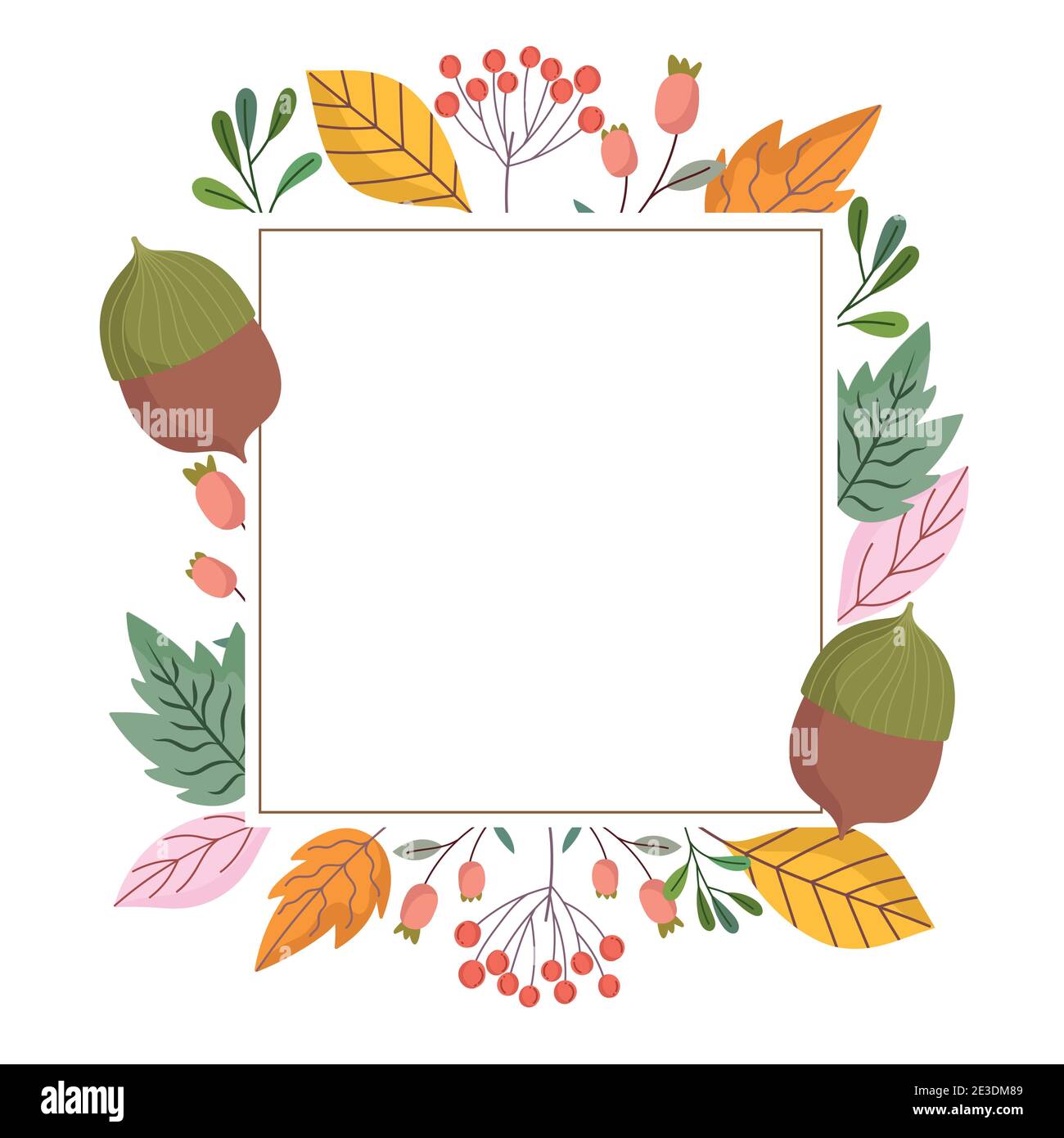Acorn Border Clip Art