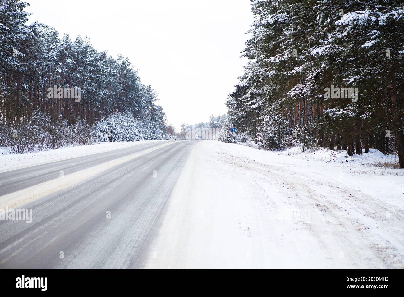 Snowy street surrounded by pine trees, winter road in the forest ...