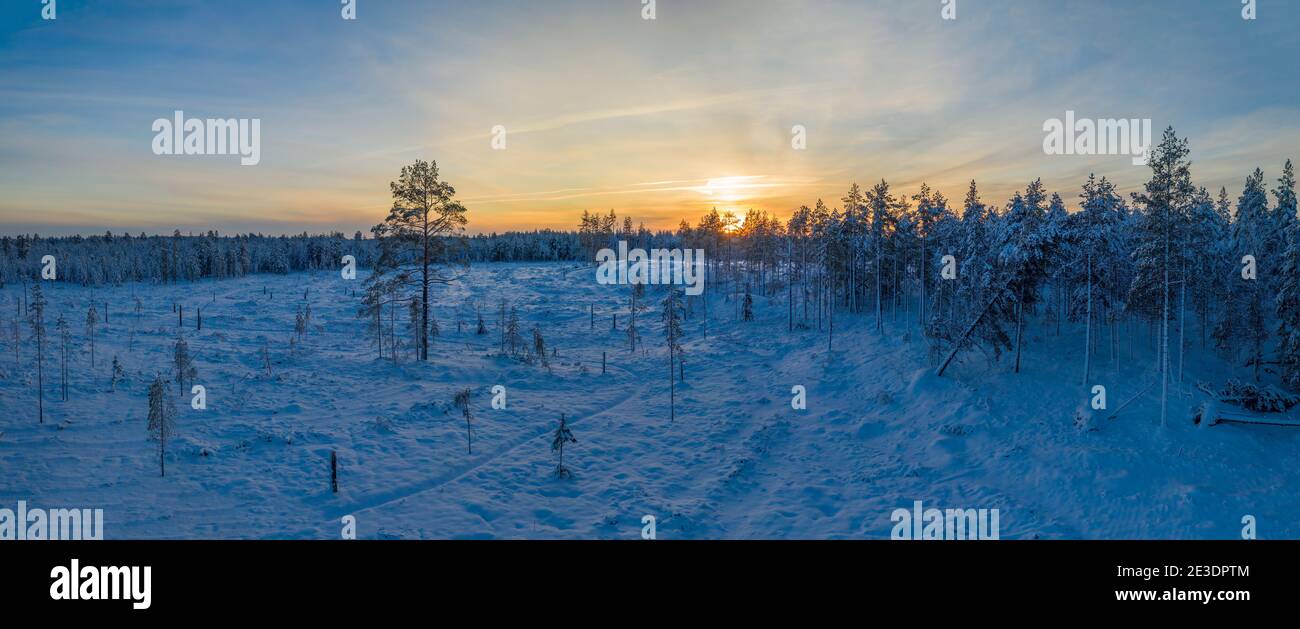 Aerial footage of forest hi-res stock photography and images - Alamy