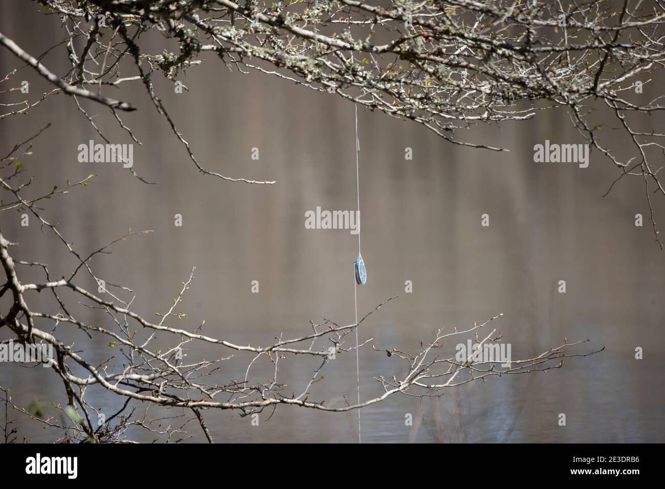 Silver anchor and thin fishing line tied to a branch for an underwater ...