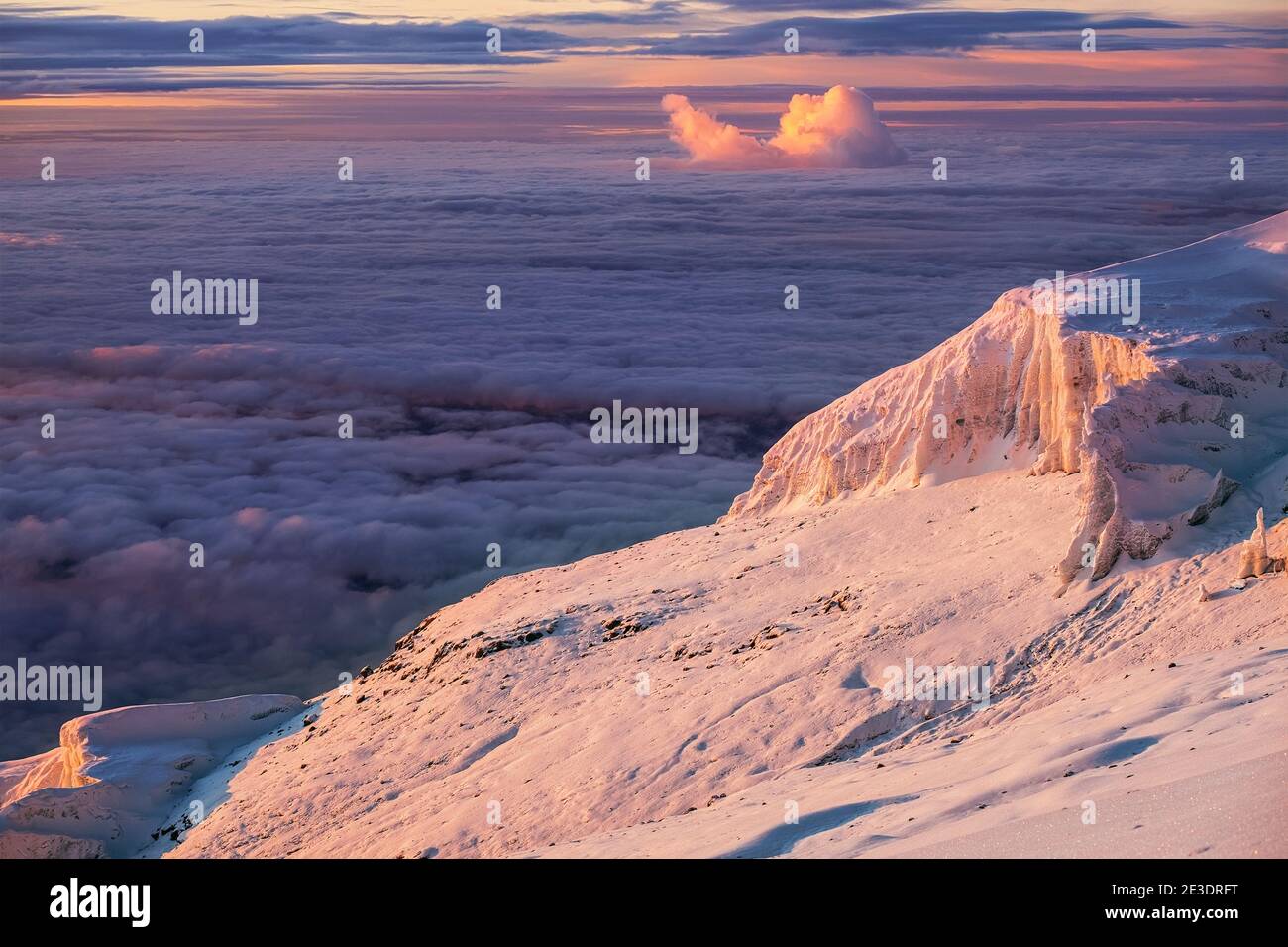 Magic breathtaking purple-pink sunrise sky over the Kilimanjaro volcano ...