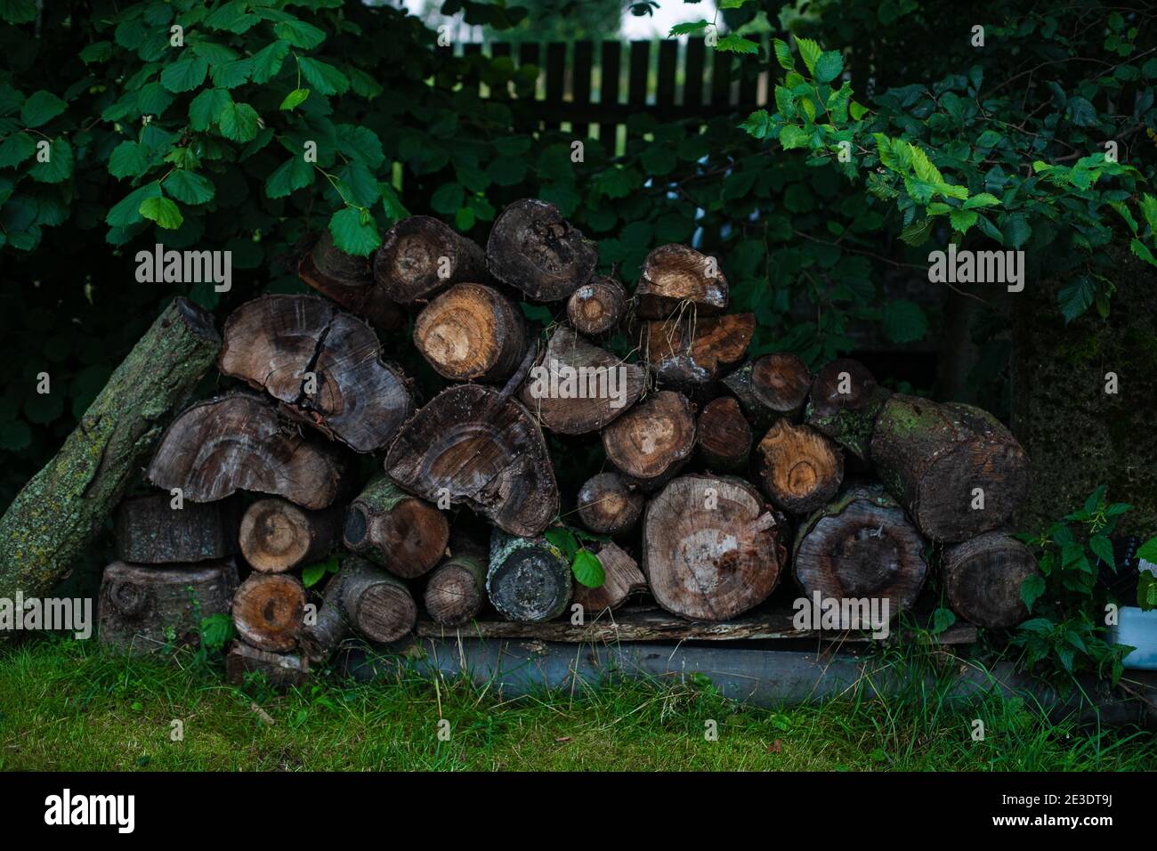 Photo of broken log hi-res stock photography and images - Alamy