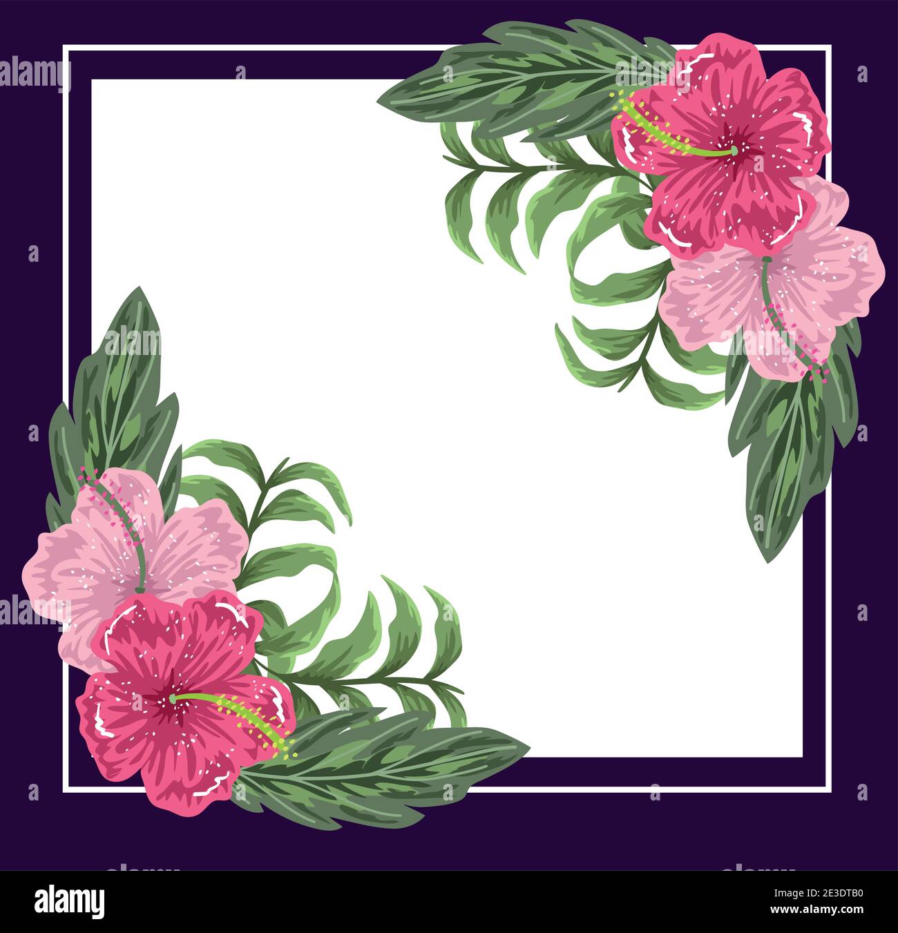 Purple hibiscus flowers Stock Vector Images - Alamy