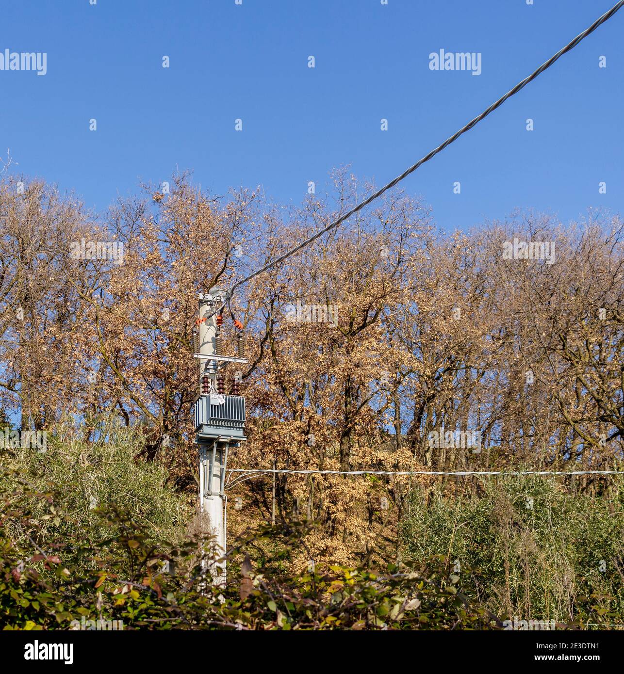 Wood pylon hi-res stock photography and images - Alamy