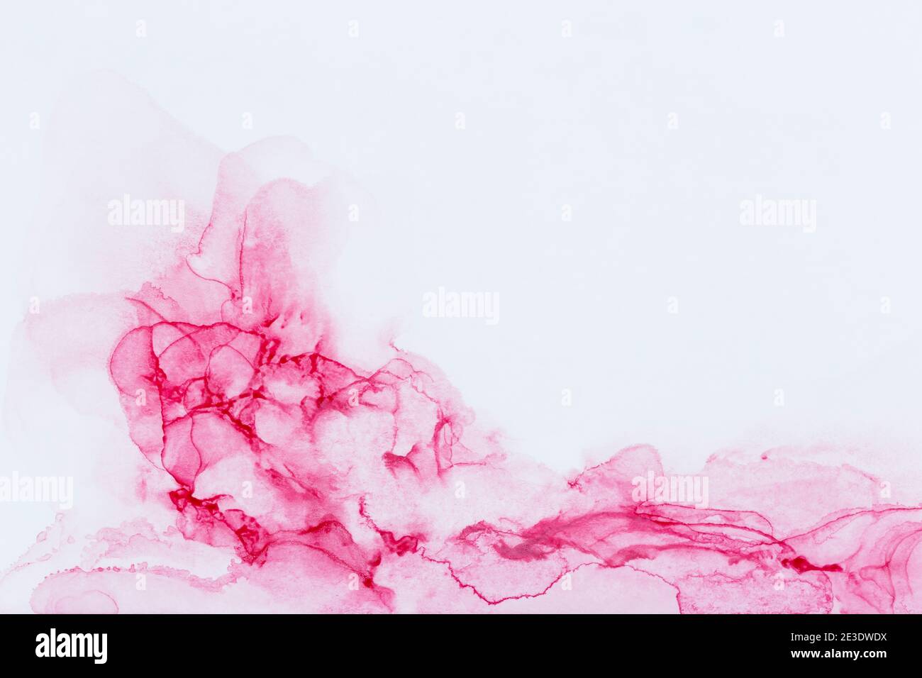 Macro close-up of abstract pink alcohol ink texture on white. Fluid ink ...