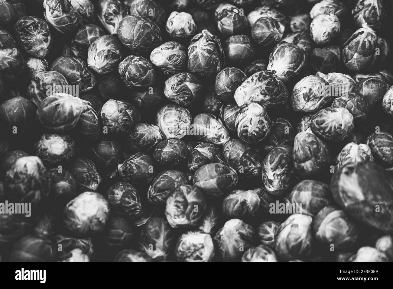 Fresh tasty brussels sprout Black and White Stock Photos & Images - Alamy