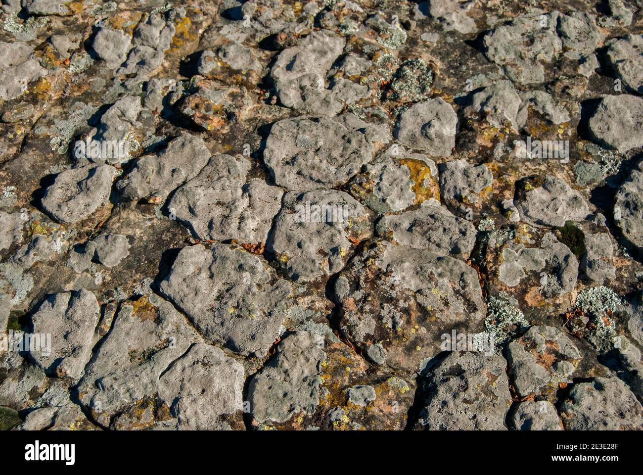 Rock surface texture closeup as stone background Stock Photo - Alamy