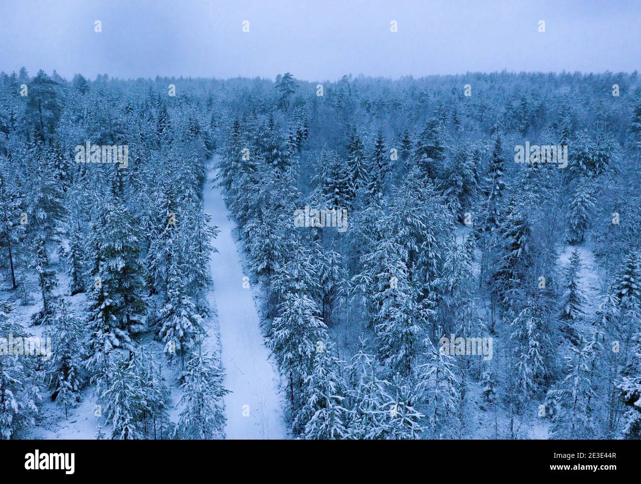 Spectacular Aerial photo Of Snow Covered forest above small road in ...