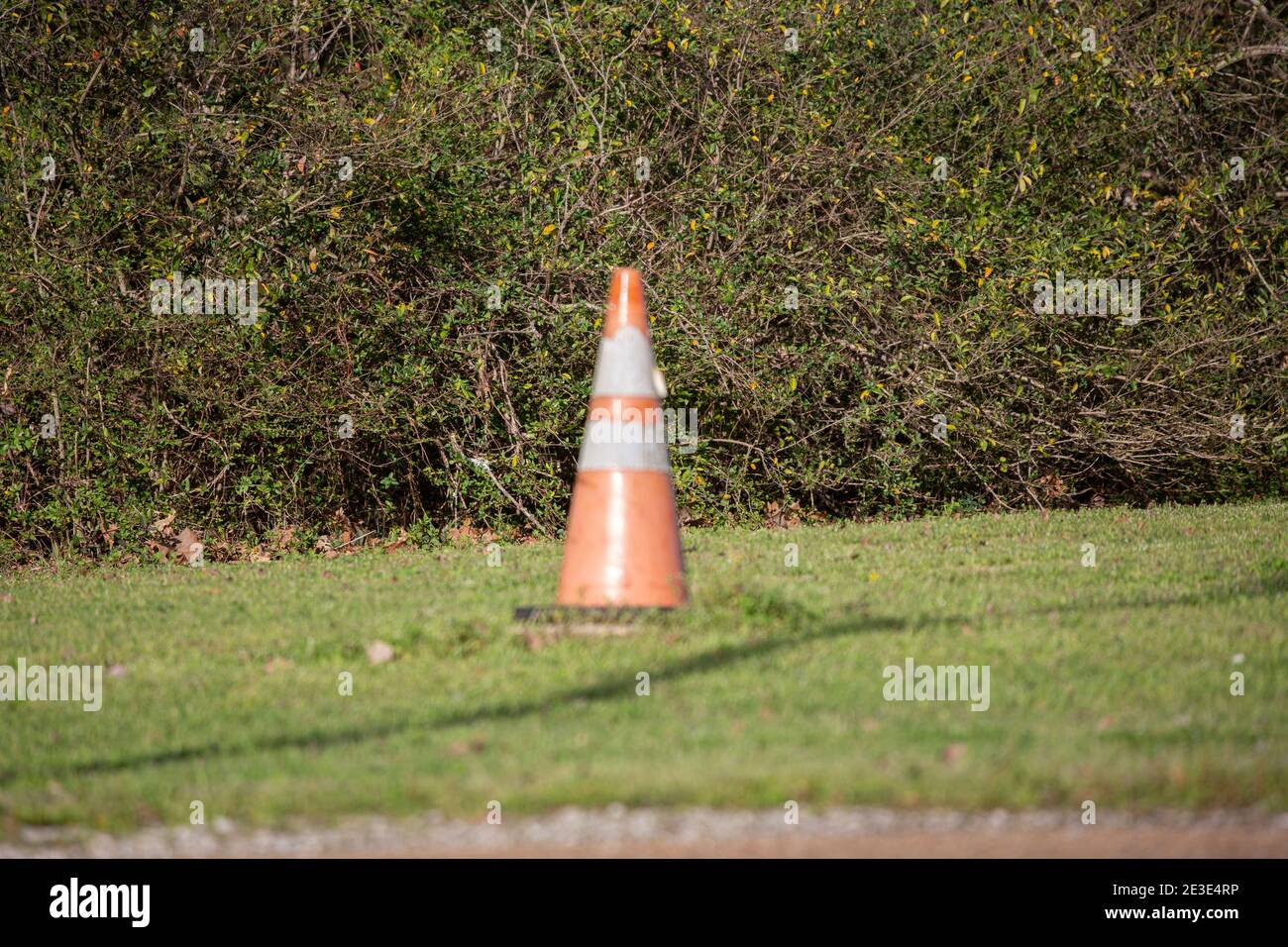 Pylon behind shrubbery hi-res stock photography and images - Alamy