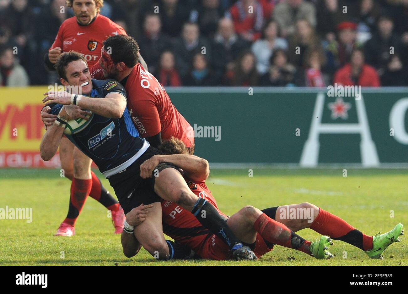Max Evans during the Heineken Cup Rugby match, Stade Toulousain vs ...