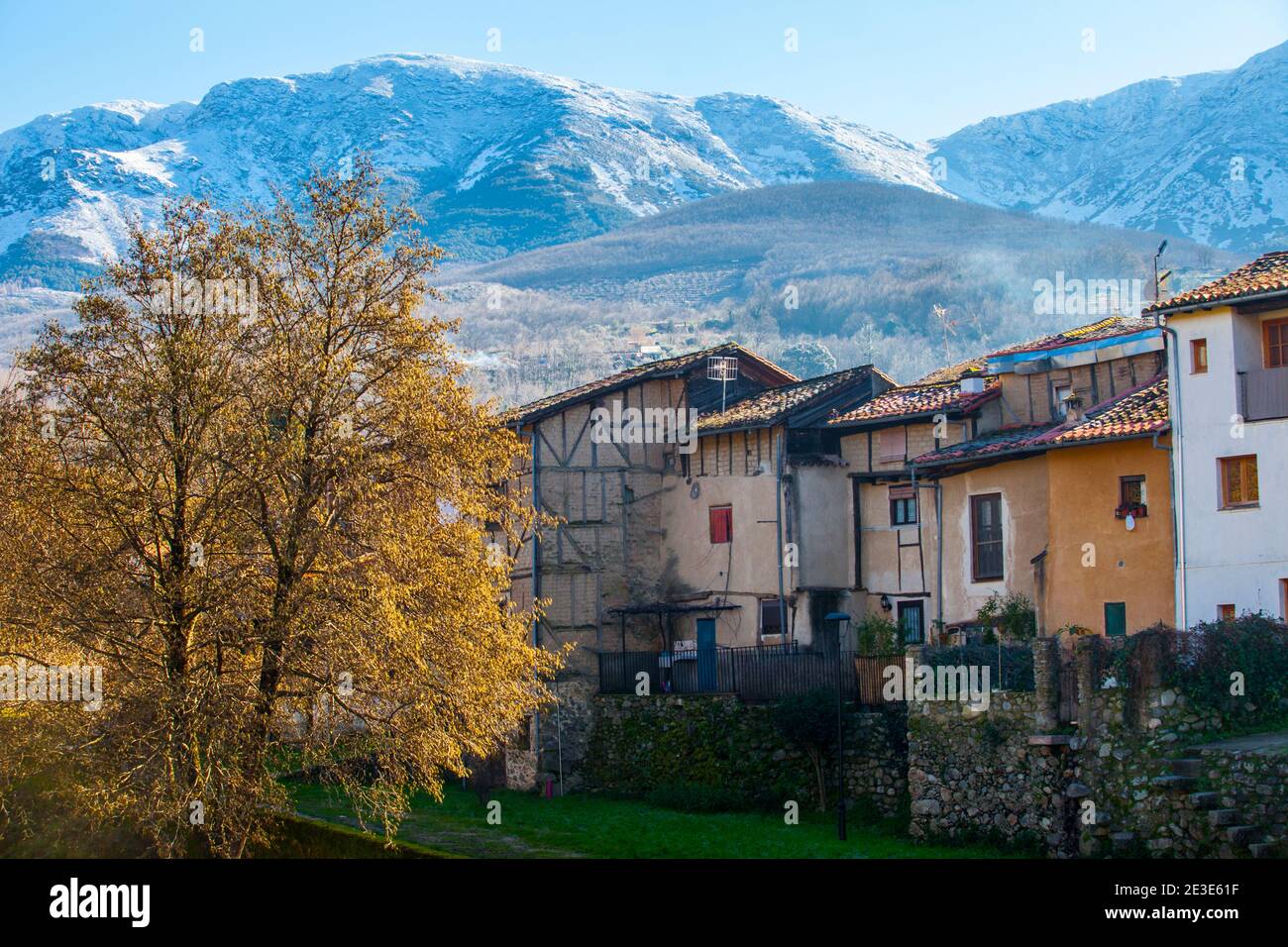 Essential hervas hi-res stock photography and images - Alamy