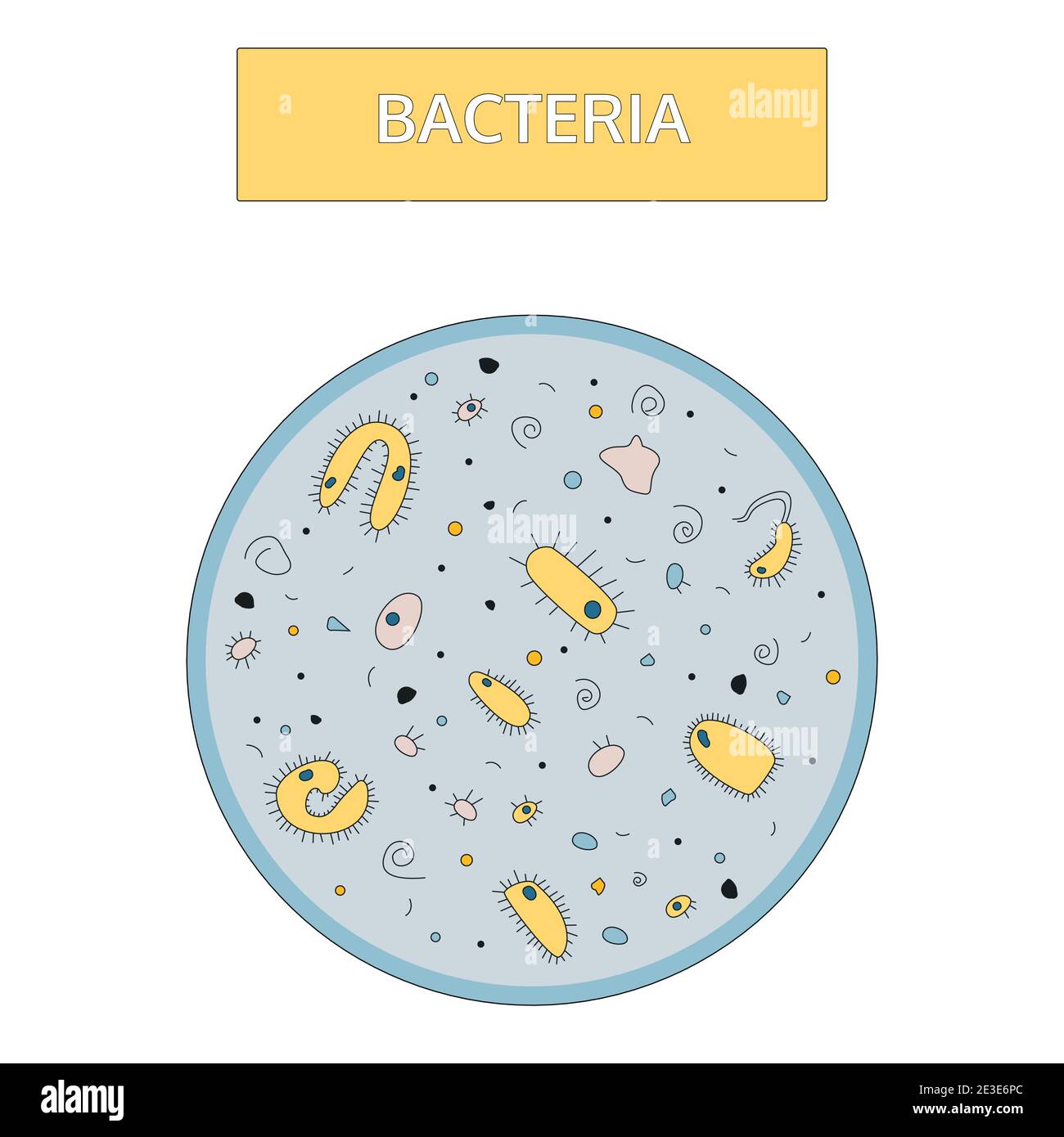 Petri dish drawing hi-res stock photography and images - Alamy
