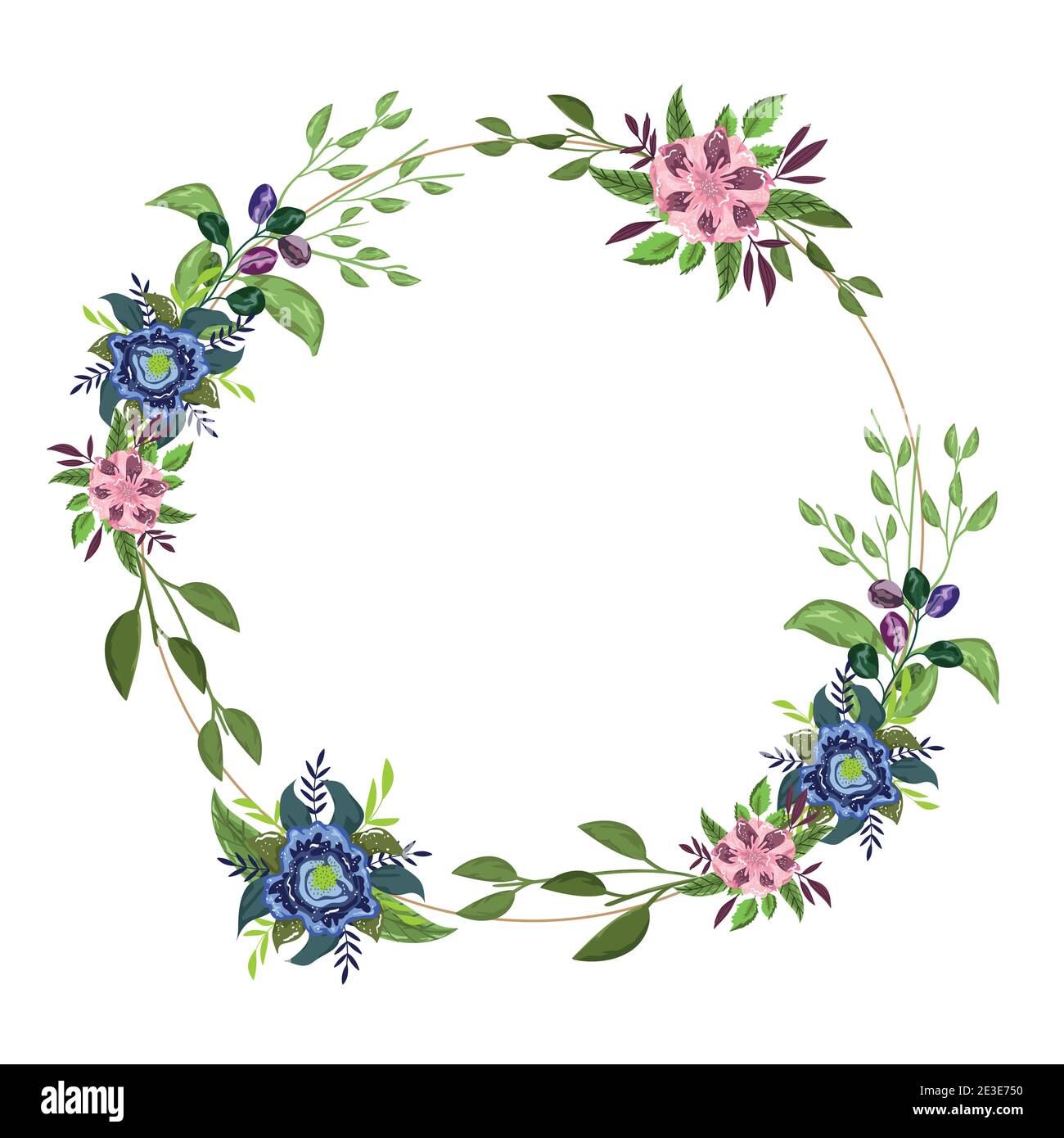 flowers delicate nature decoration circle border, vector illustration ...