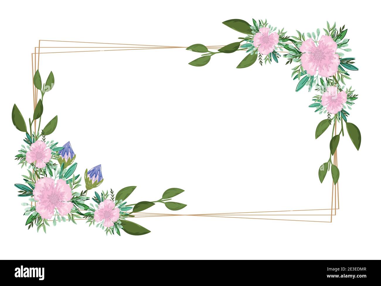 flowers decoration nature frame layout, vector illustration painting ...