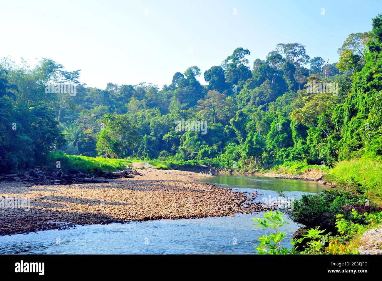 Ulu Temburong National Park High Resolution Stock Photography and ...