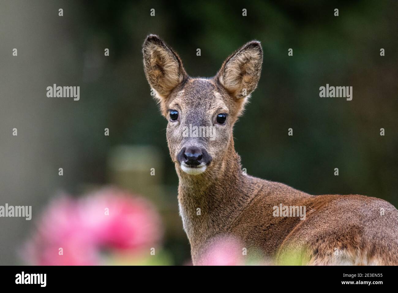 Durrington cemetery hi-res stock photography and images - Alamy