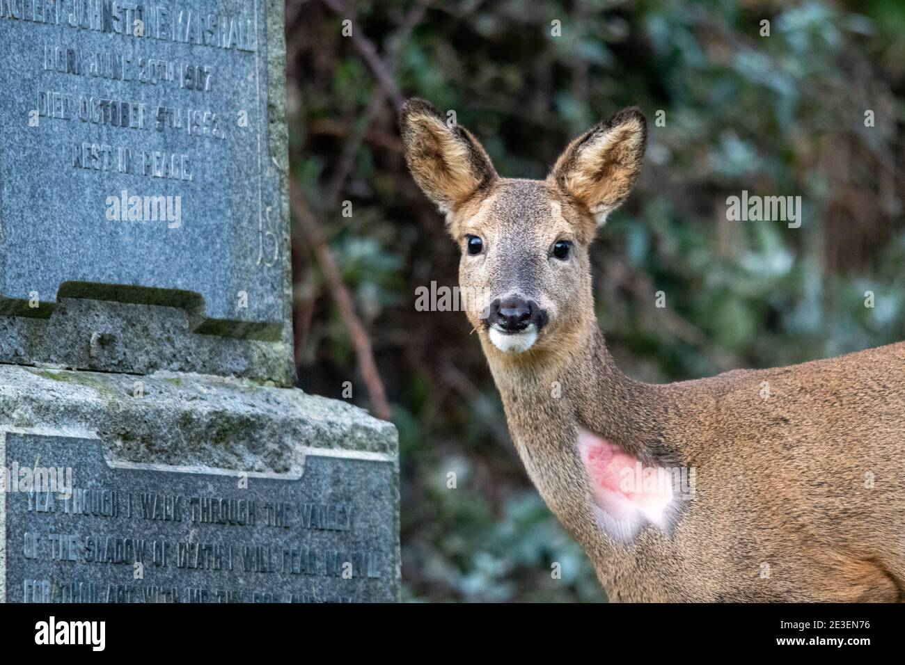 Durrington cemetery hi-res stock photography and images - Alamy