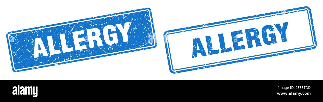allergy square stamp. allergy grunge sign set Stock Vector Image & Art ...