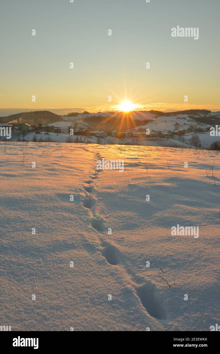 Countryside field snow footsteps hi-res stock photography and images ...