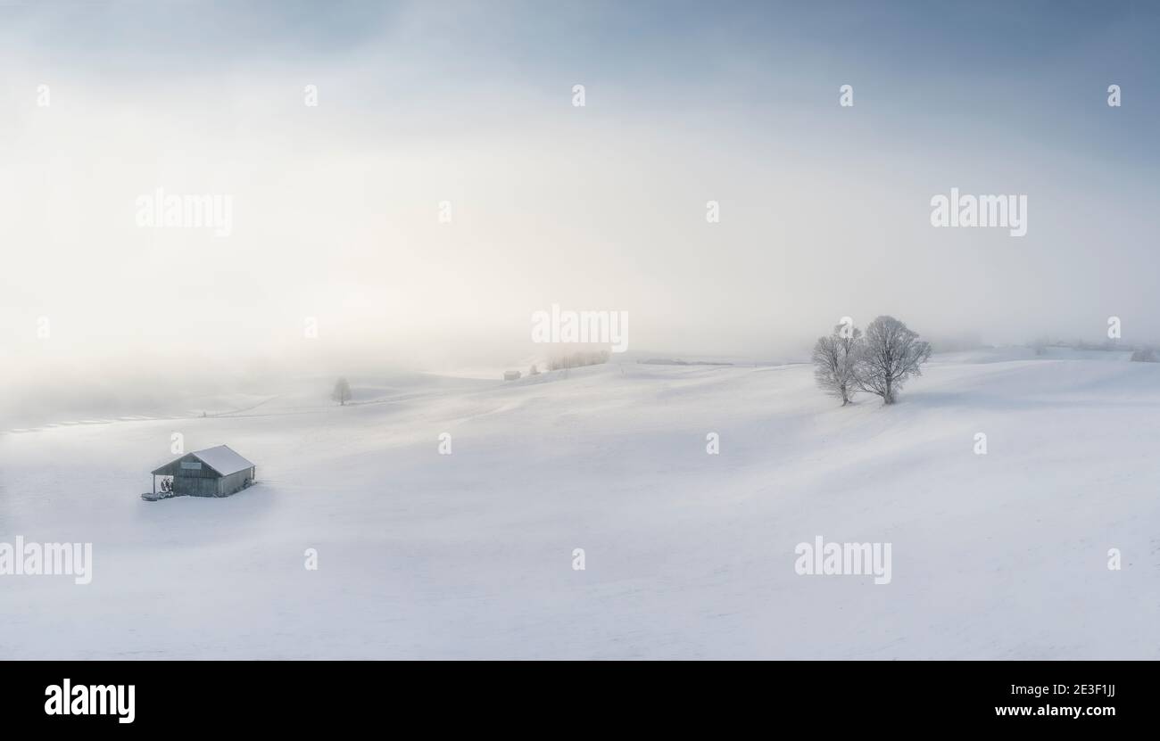 Dreamy winter landscape with snow covered trees, house and sun poking ...