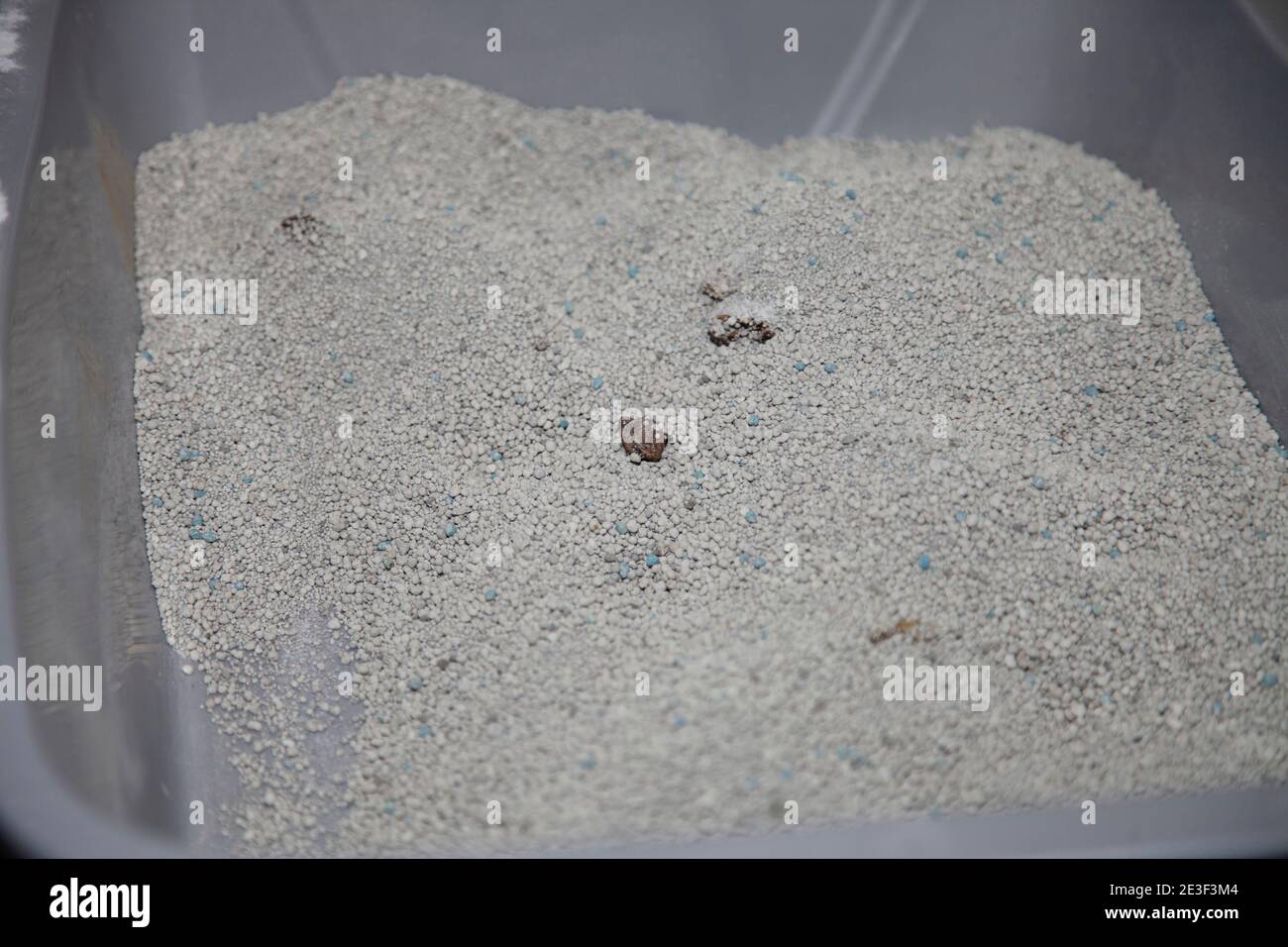 Cat litter box with some poop in it Stock Photo - Alamy