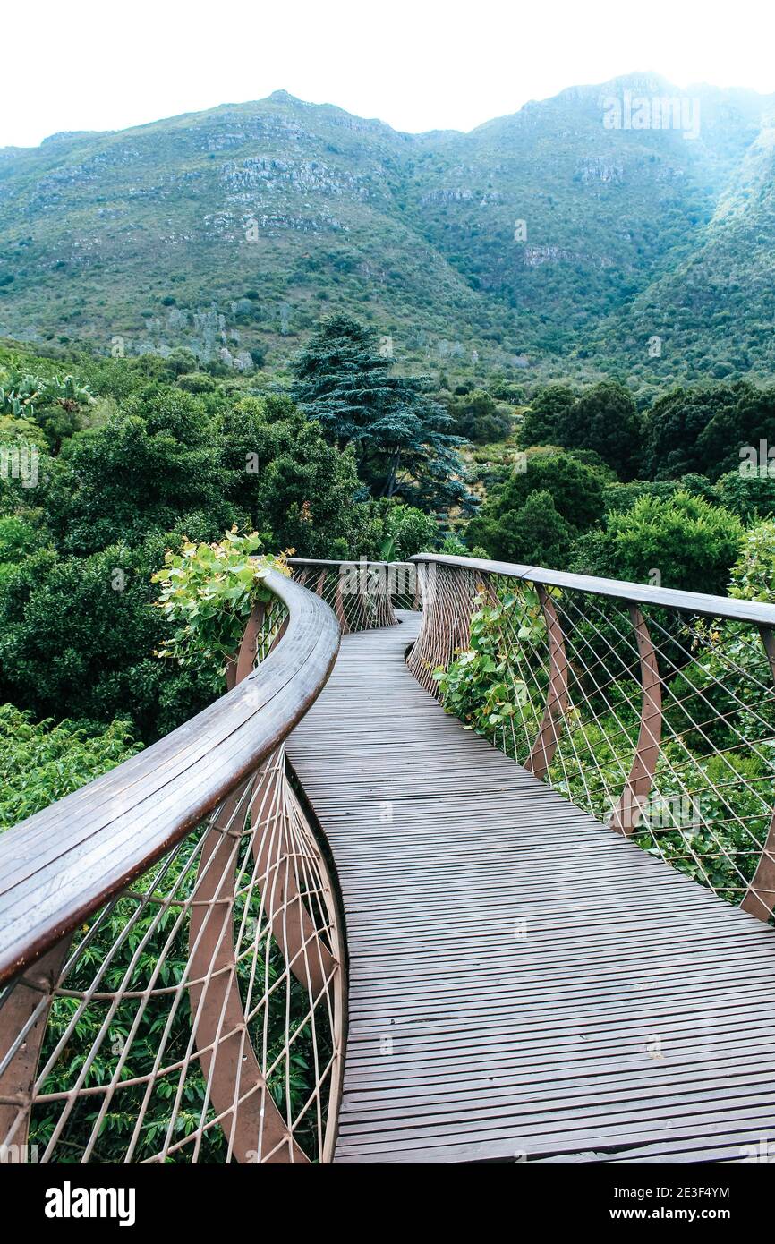 Treetop Canopy Walkway at Kirstenbosch Botanic Garden | Aerial ...