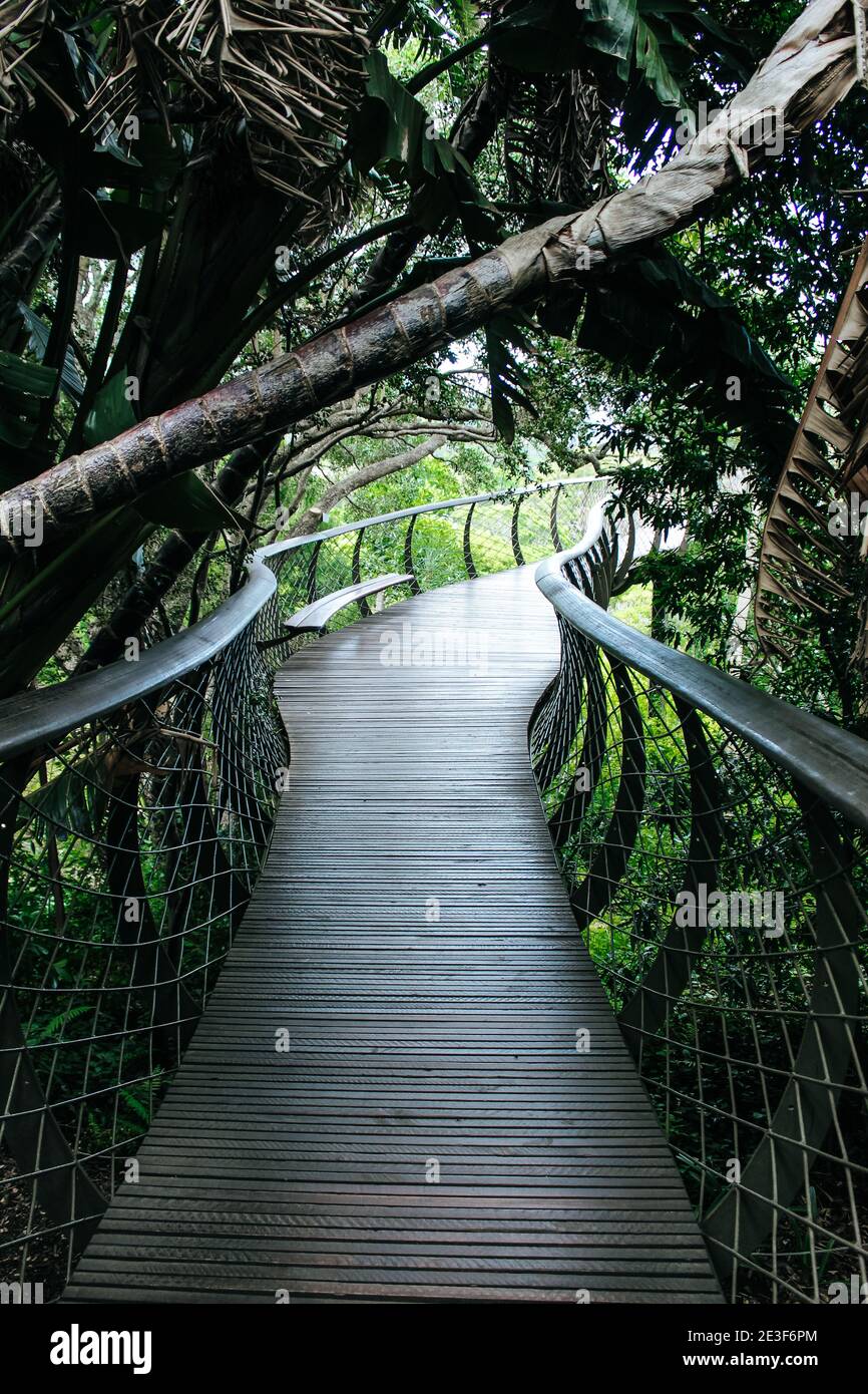 Treetop Canopy Walkway at Kirstenbosch Botanic Garden | Aerial ...