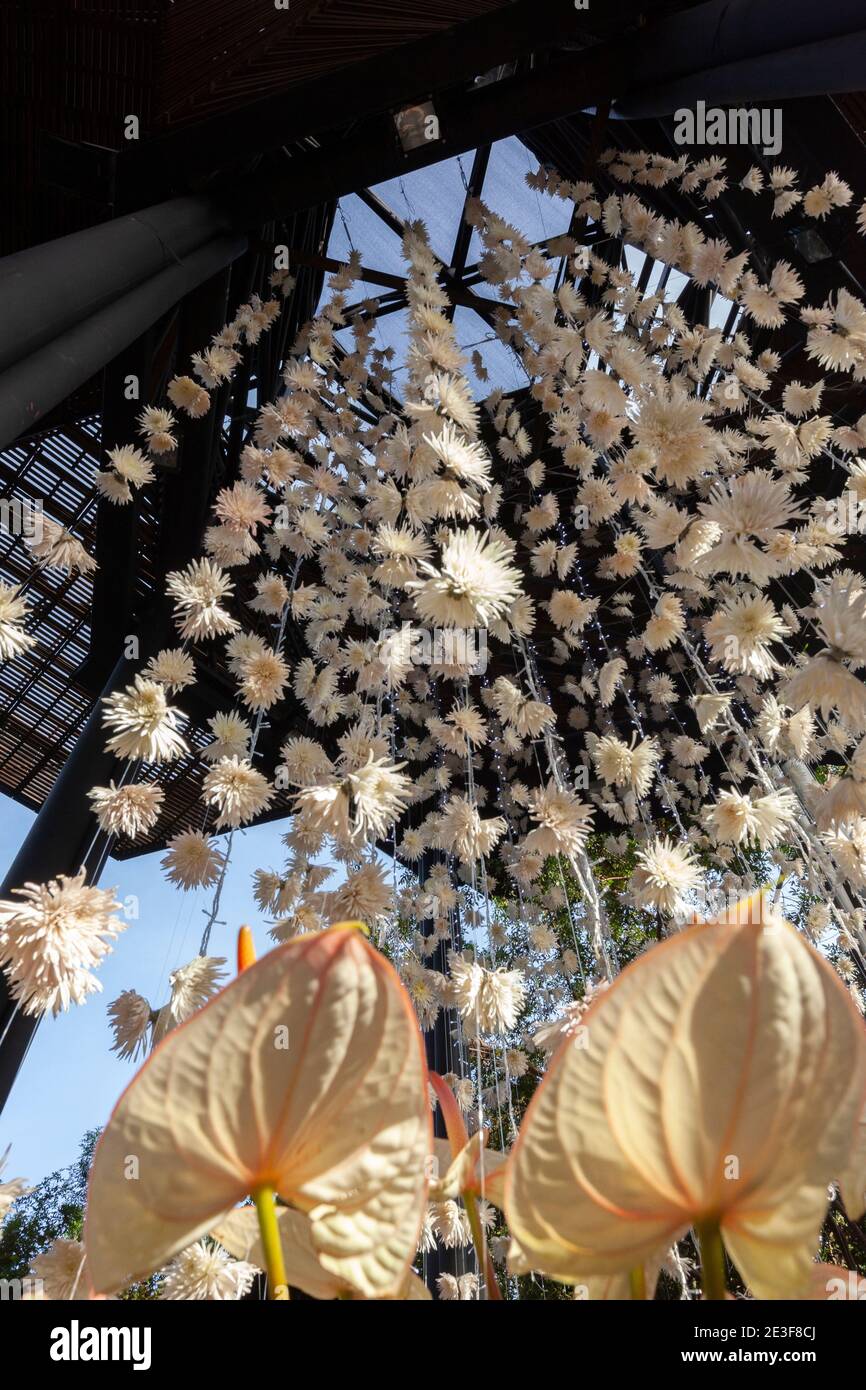 Flowers in the Orquideorama at the Jardín Botanico Medellin during the ...