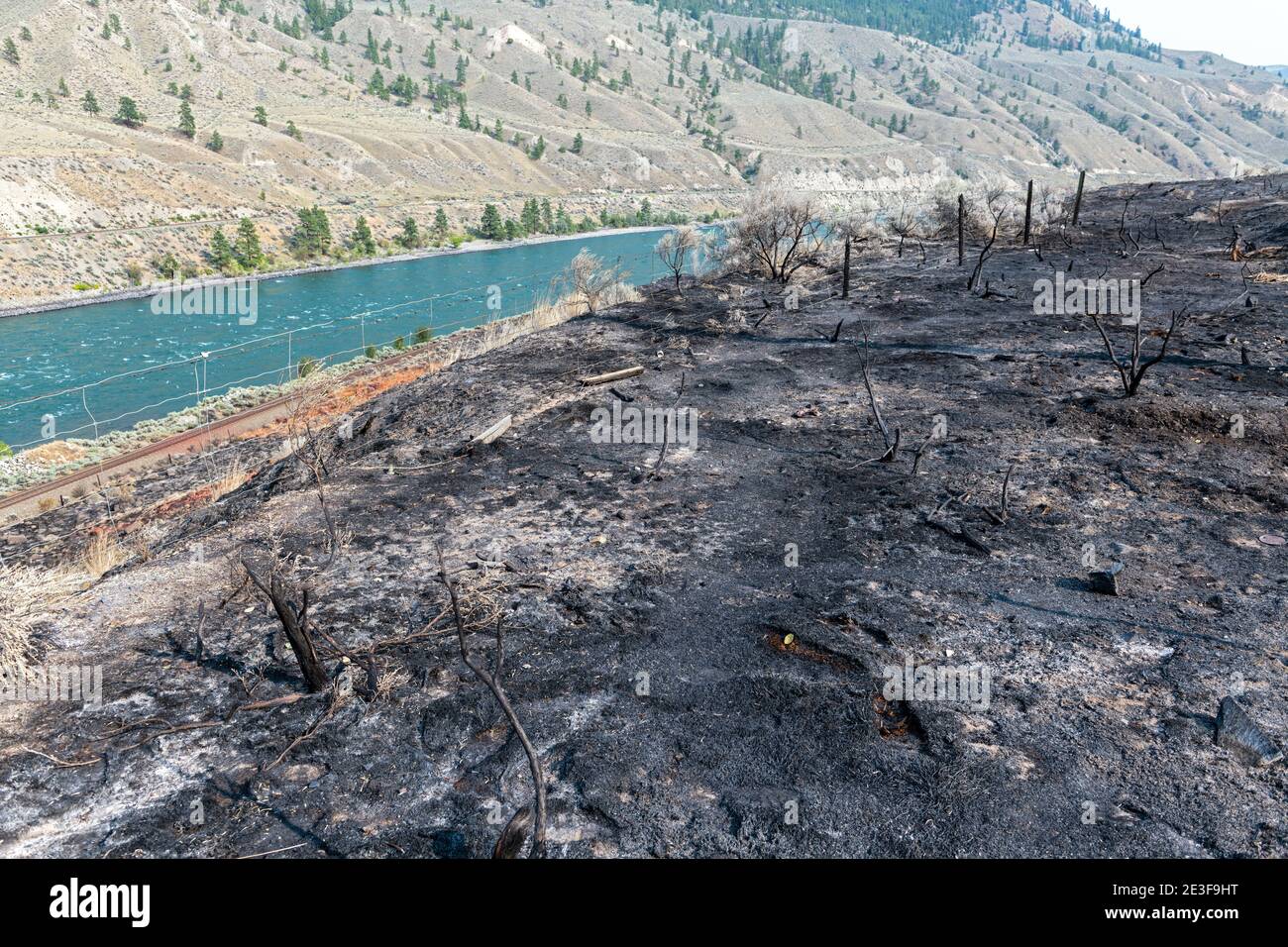Fire damage along the Thompson River near Spences Bridge in British ...