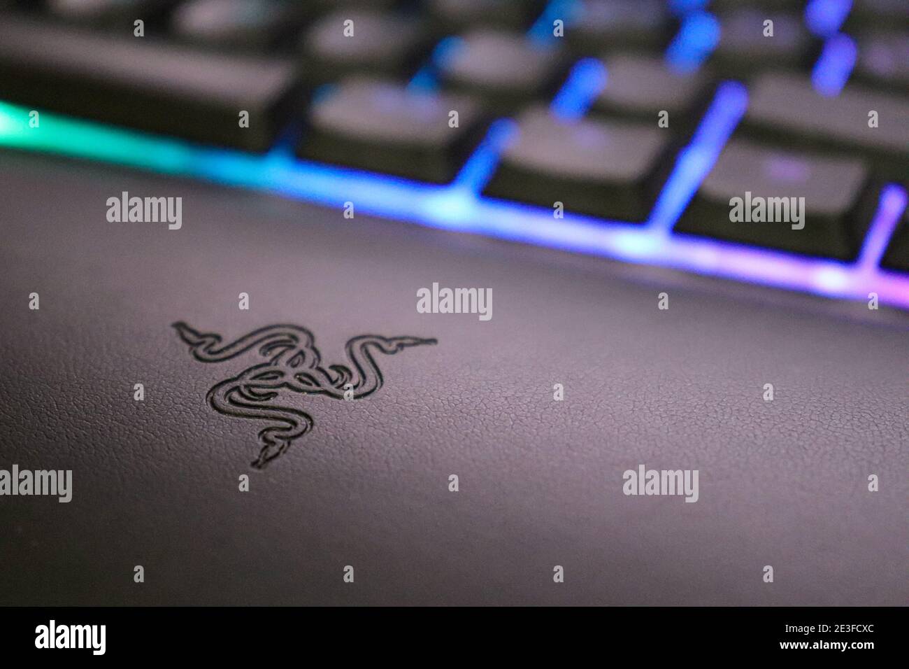 Razer symbol engraved on the skin of the Ornata Chroma keyboard ...