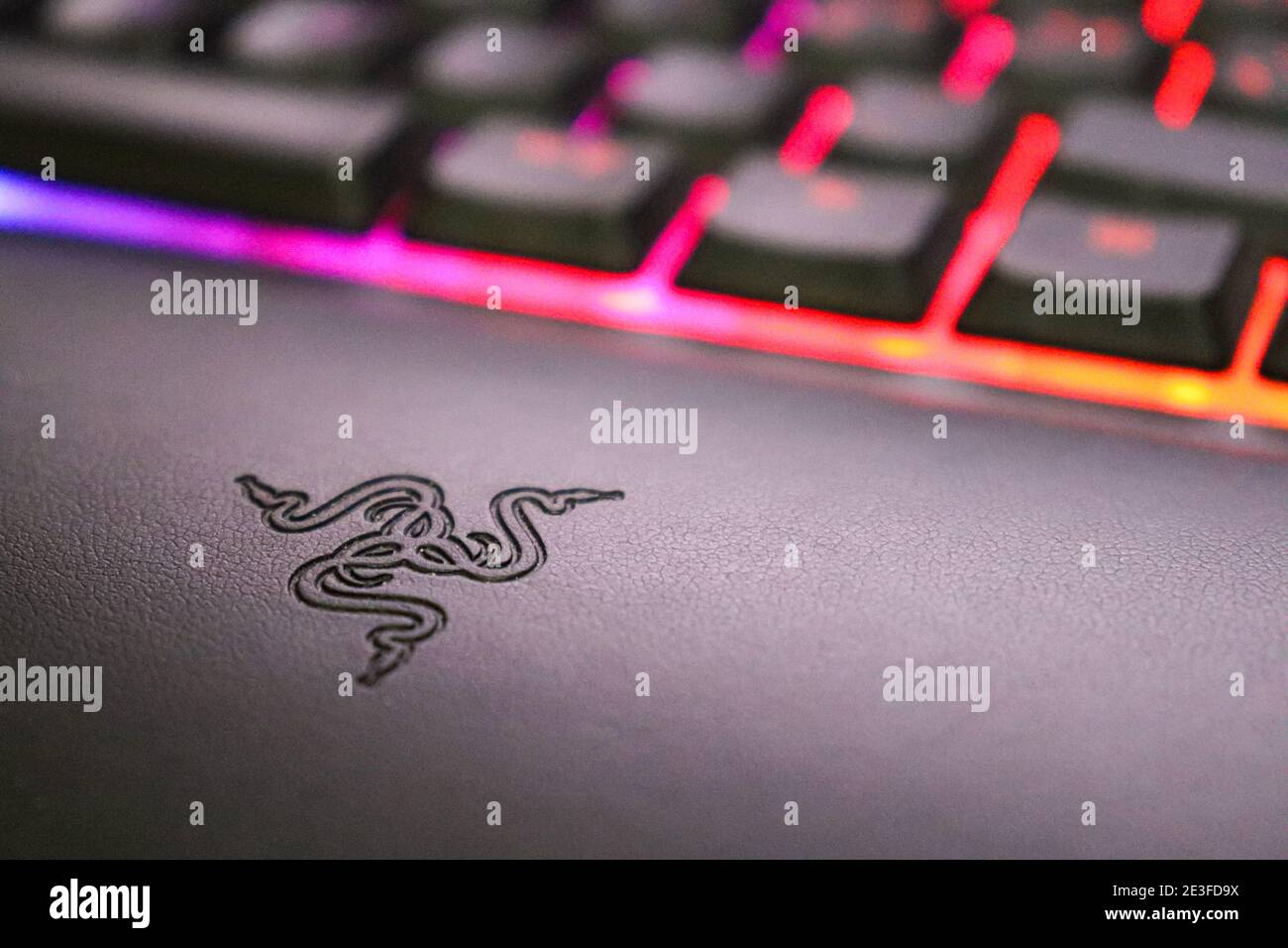 Razer symbol engraved on the skin of the Ornata Chroma keyboard ...