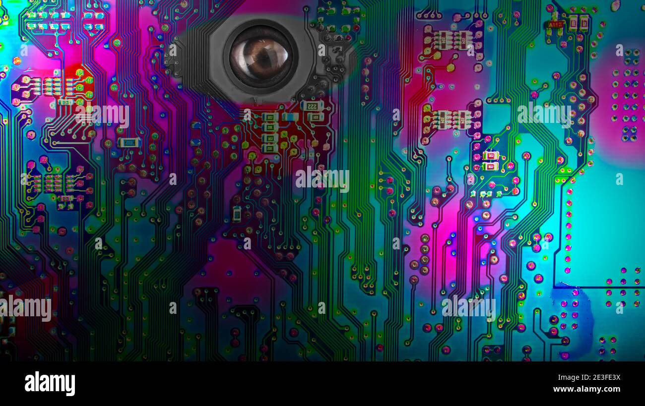 The Eye That Observes From Computer Plate. Computer Plate with Animal ...