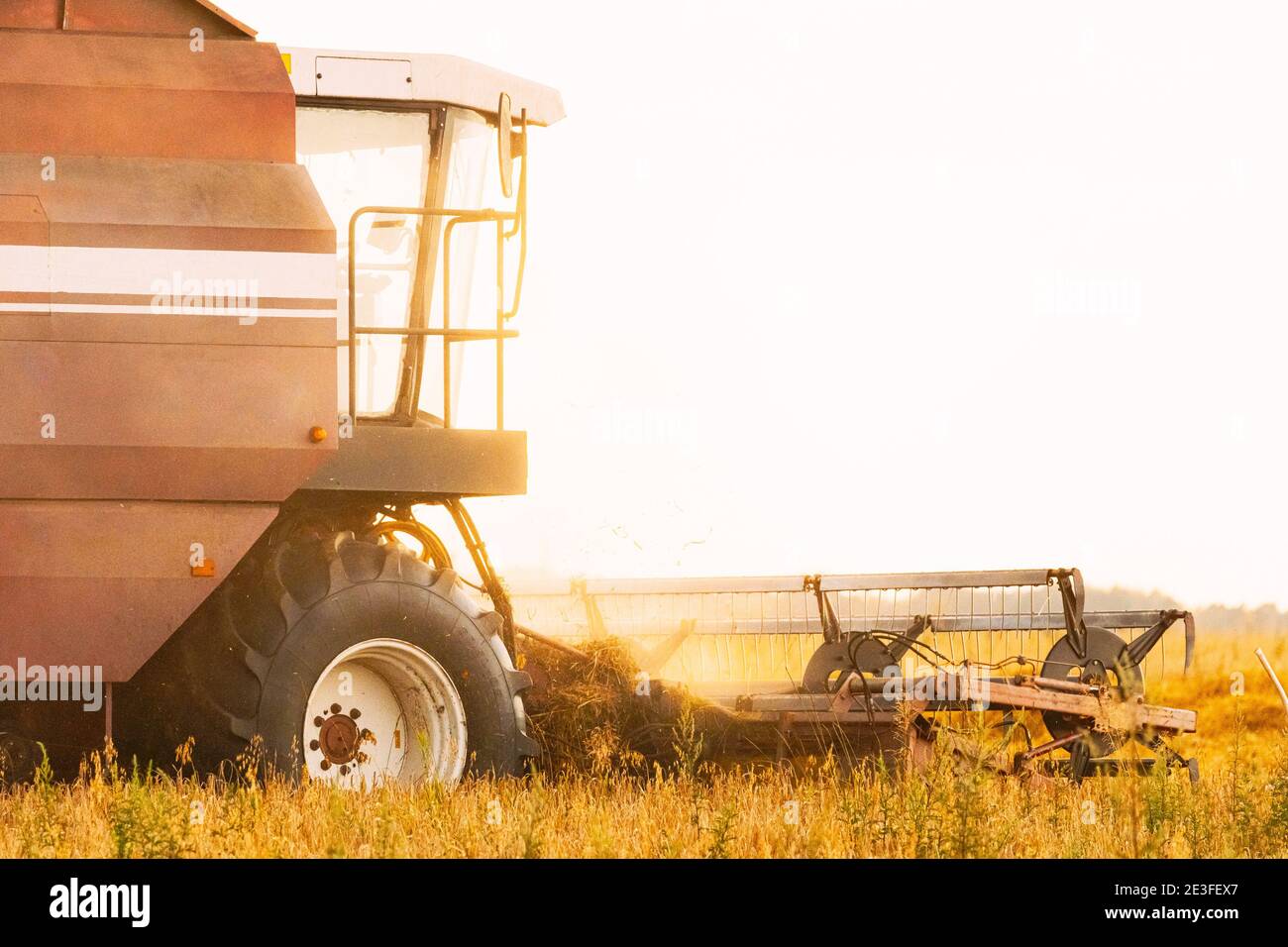 Collecting Wheat High Resolution Stock Photography and Images - Alamy