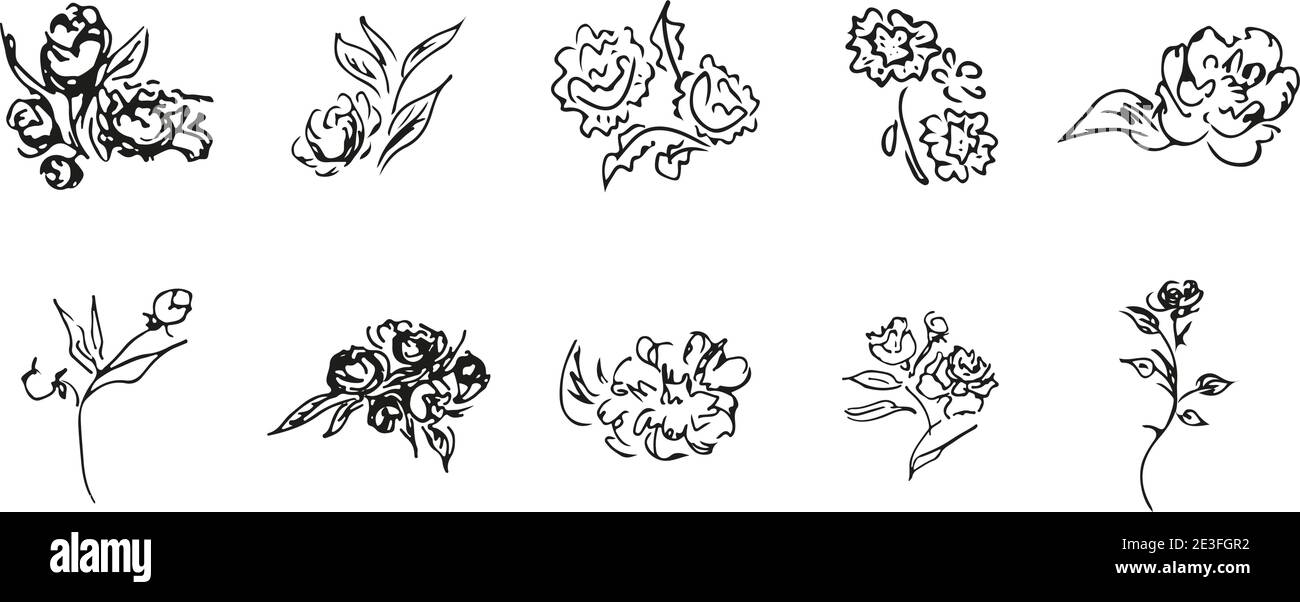 Doodle simple vector collection of 10 hand-drawn roses. Big collection ...