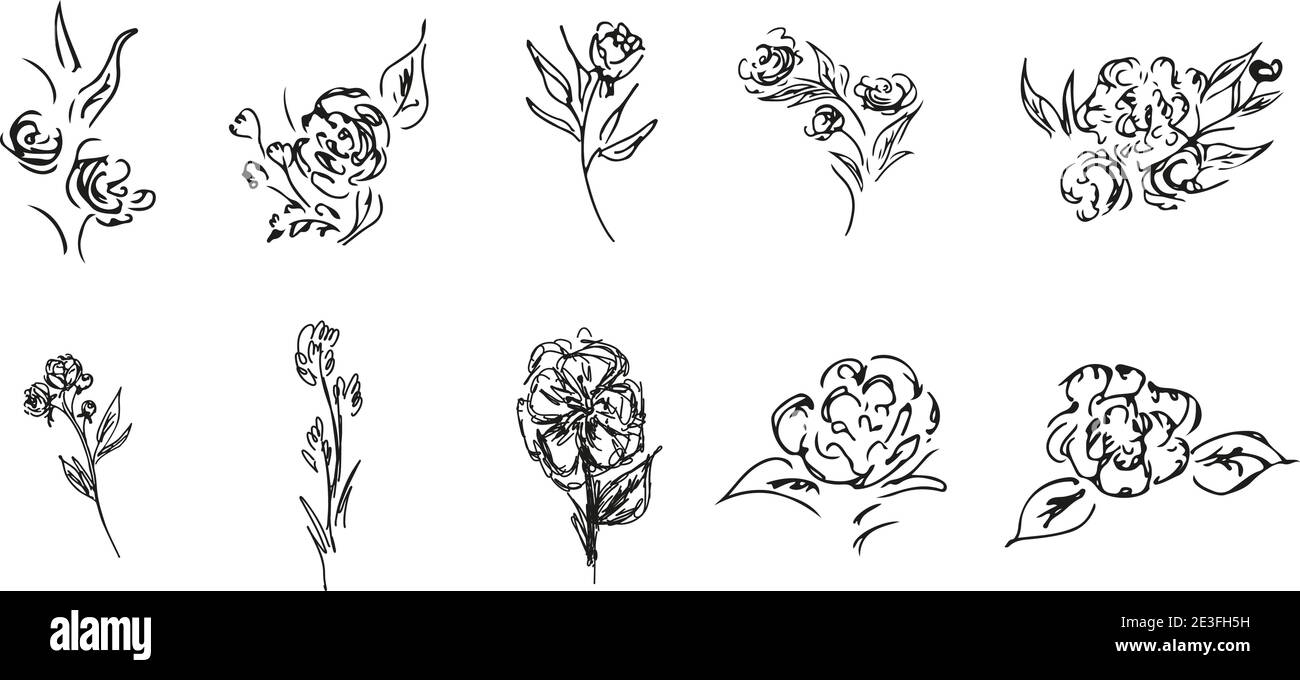Doodle simple vector collection of 10 hand-drawn roses. Big collection ...