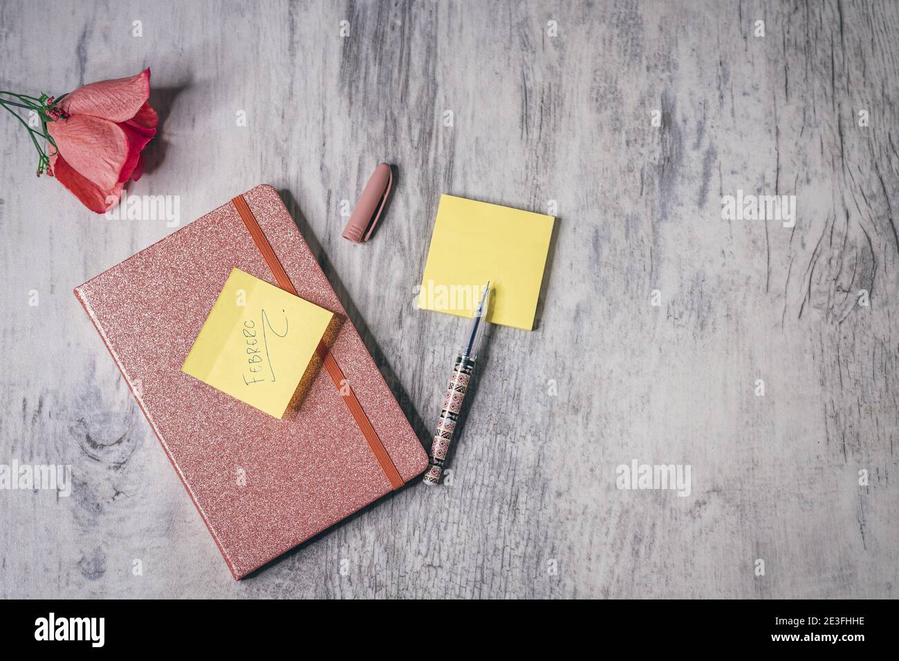 Cute pink notebook, pen, stickers, and a flower on the gray background ...