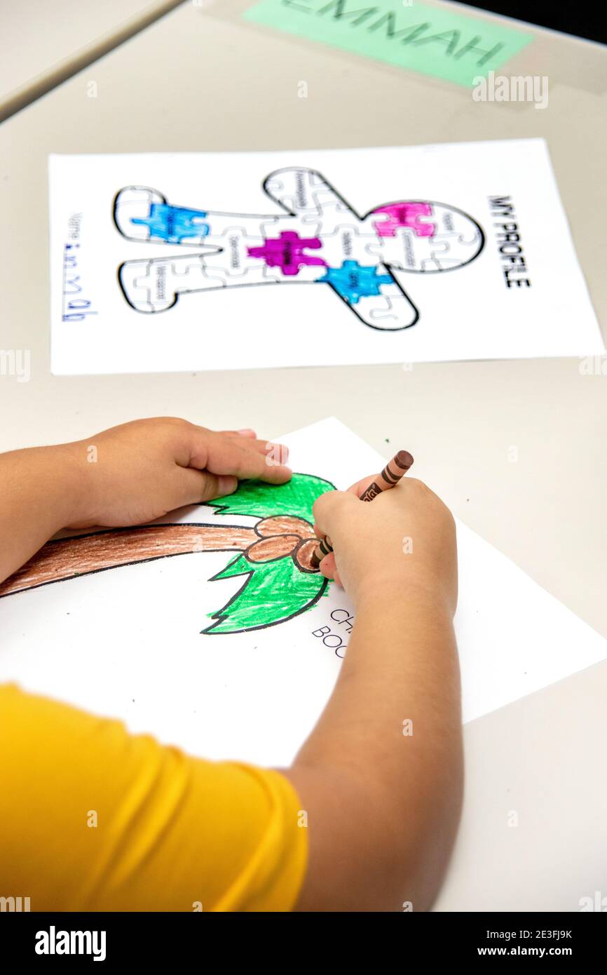 A Hispanic first grade student starts to color a palm tree at a ...