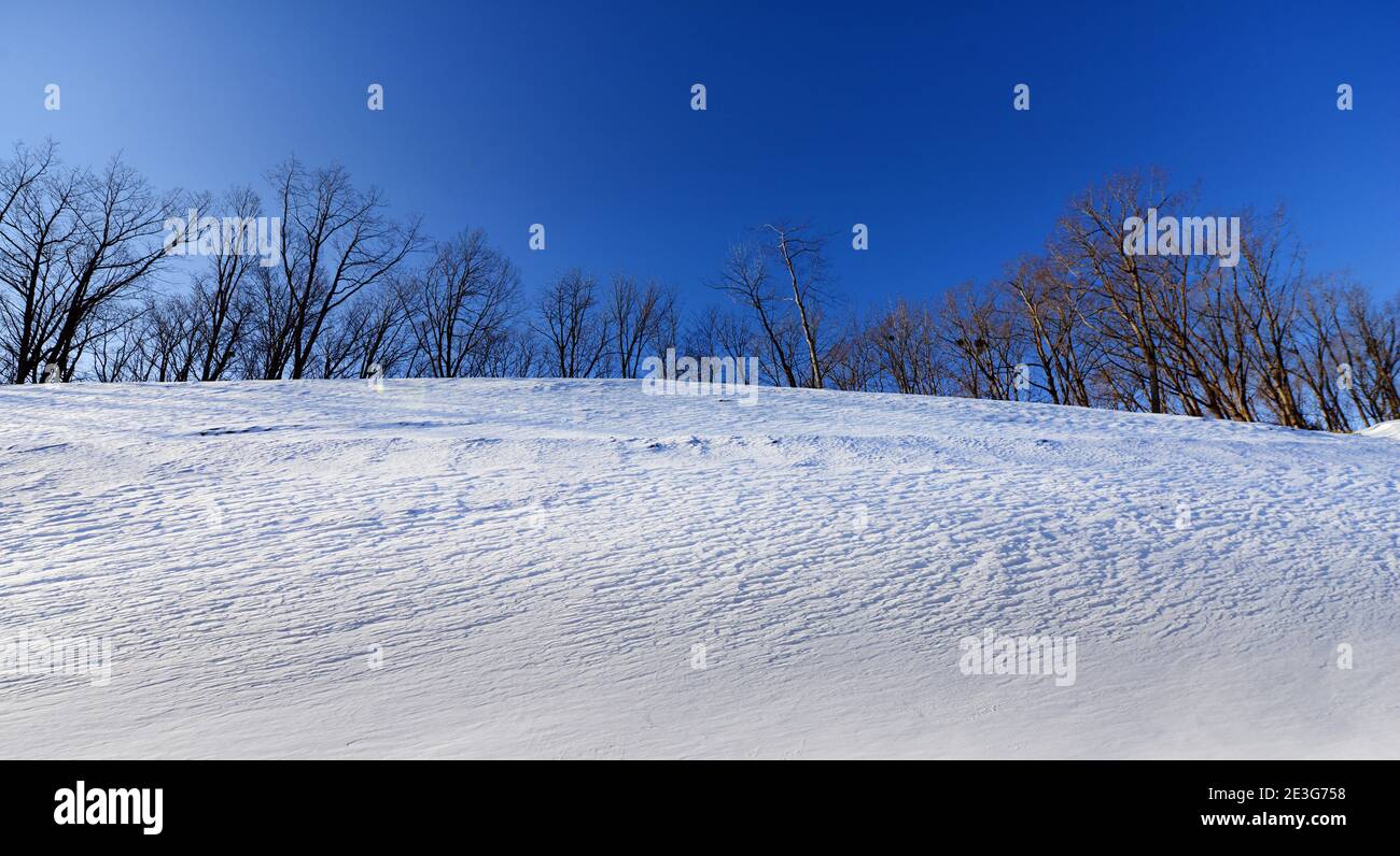 Scenic snowy landscapes in Hokkaido, Japan Stock Photo - Alamy