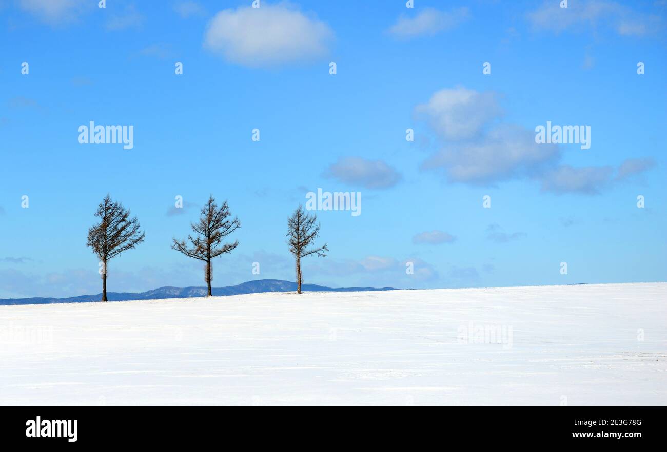 Scenic snowy landscapes in Hokkaido, Japan Stock Photo - Alamy